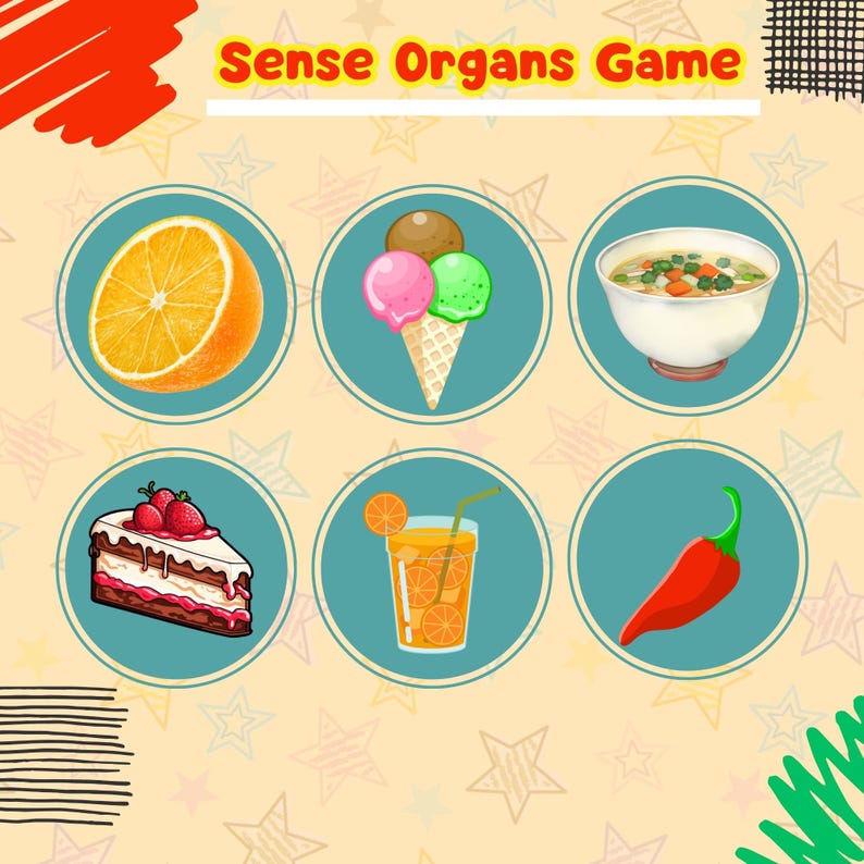Sensory Organs Game,five Senses Activity, Preschool,kindergarten,busy Bags, Montessori Materials ...
