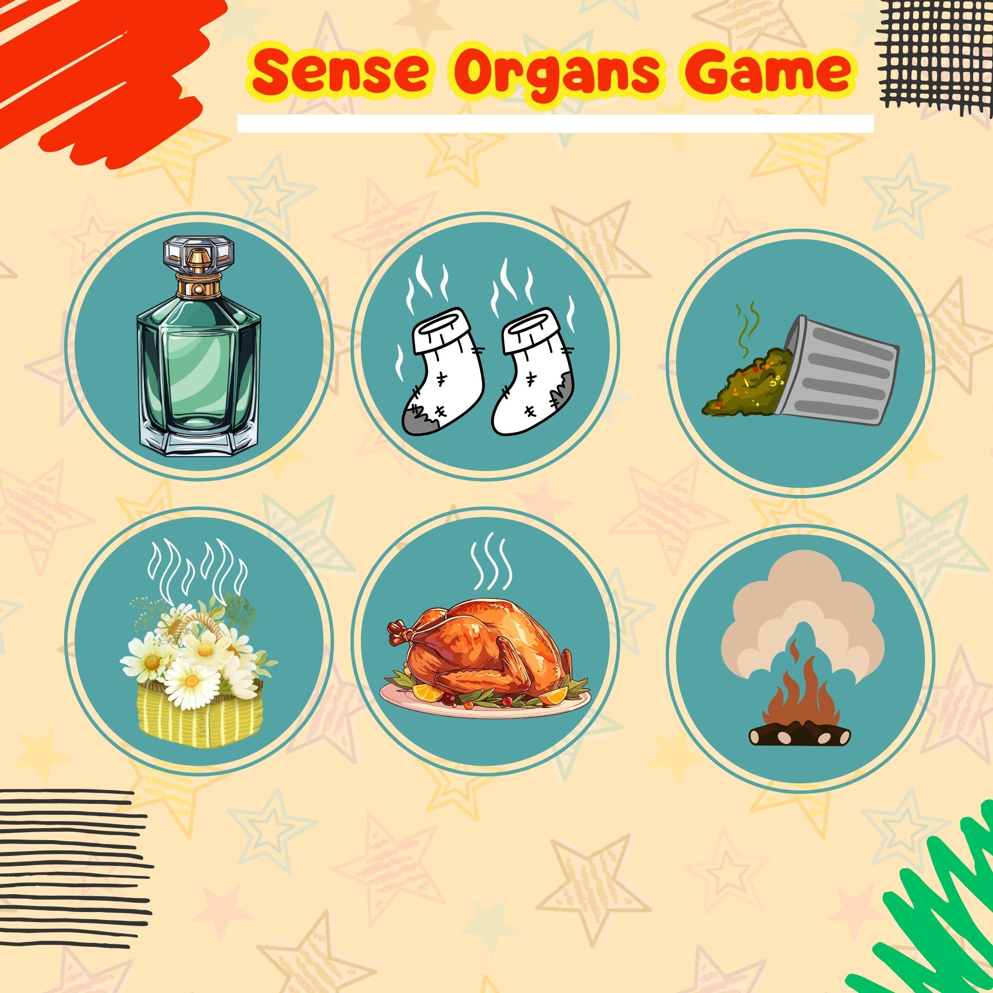 Sensory Organs Game,five Senses Activity, Preschool,kindergarten,busy ...