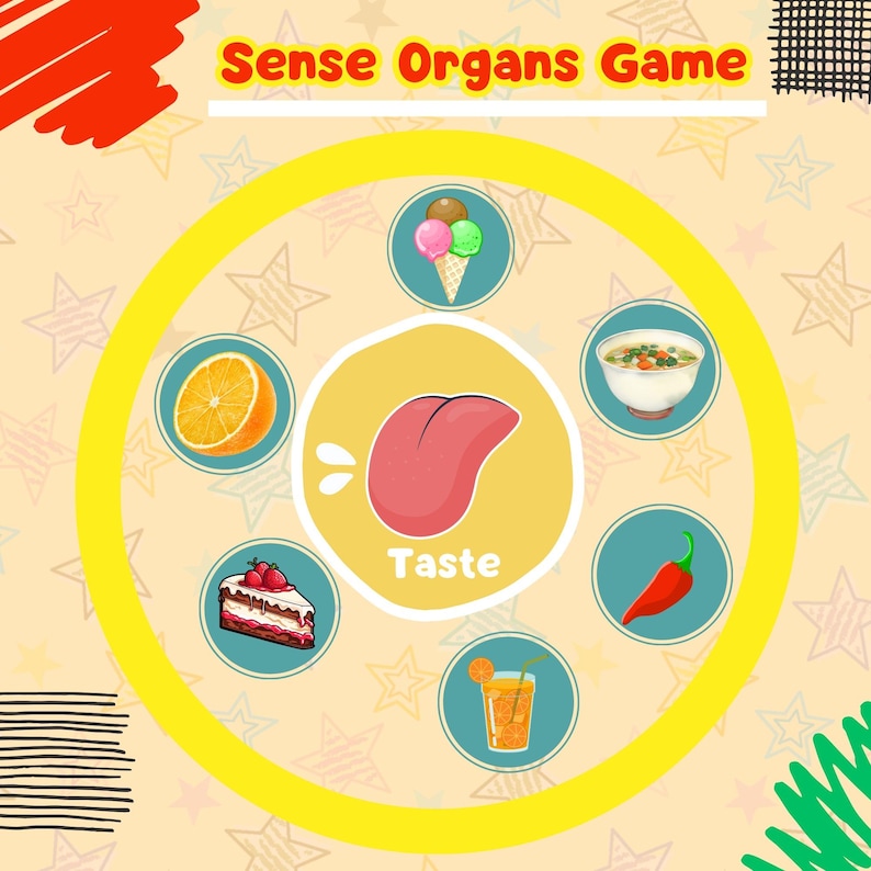 Sensory Organs Game,five Senses Activity, Preschool,kindergarten,busy Bags, Montessori Materials ...