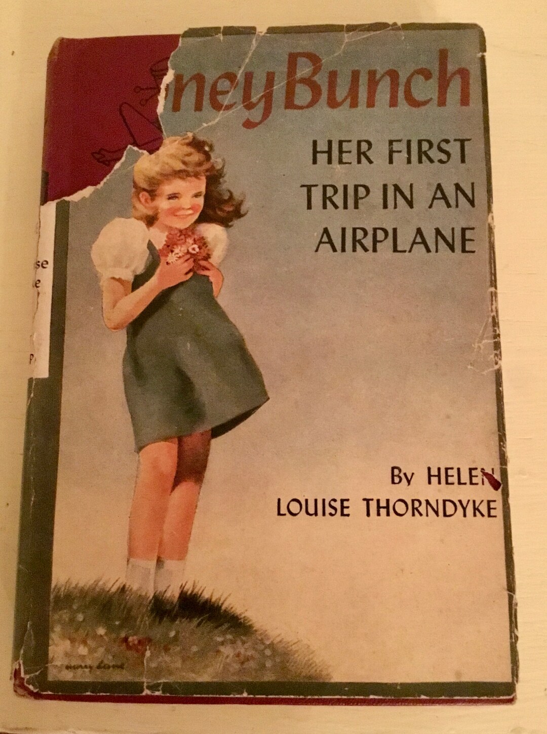Vintage Honey Bunch Book: Her First Trip in an Airplane, 1931 - Etsy