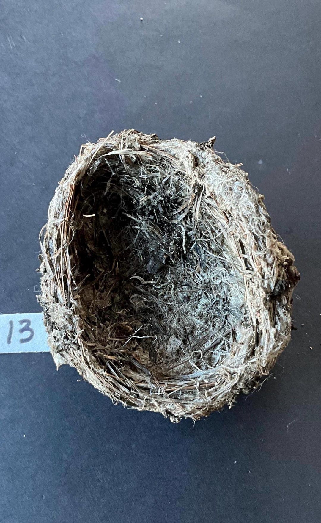 Real Bird Nest - Small Nest, With Weed Fluff and Grasses-#13 - Etsy