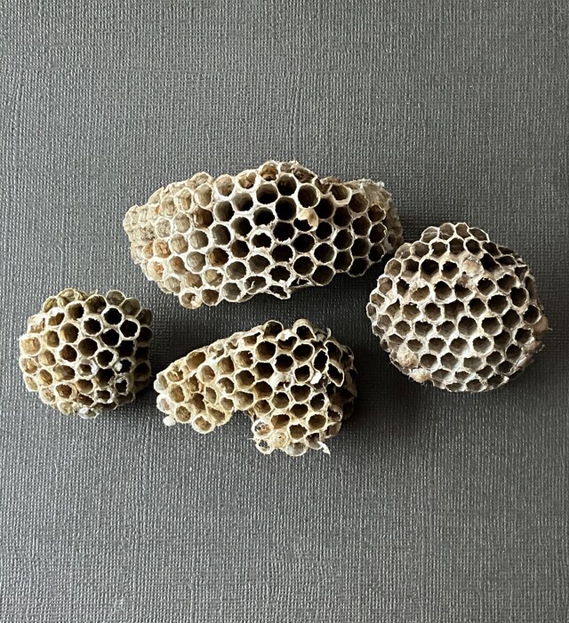 HavAMarileeChristmas - Etsy