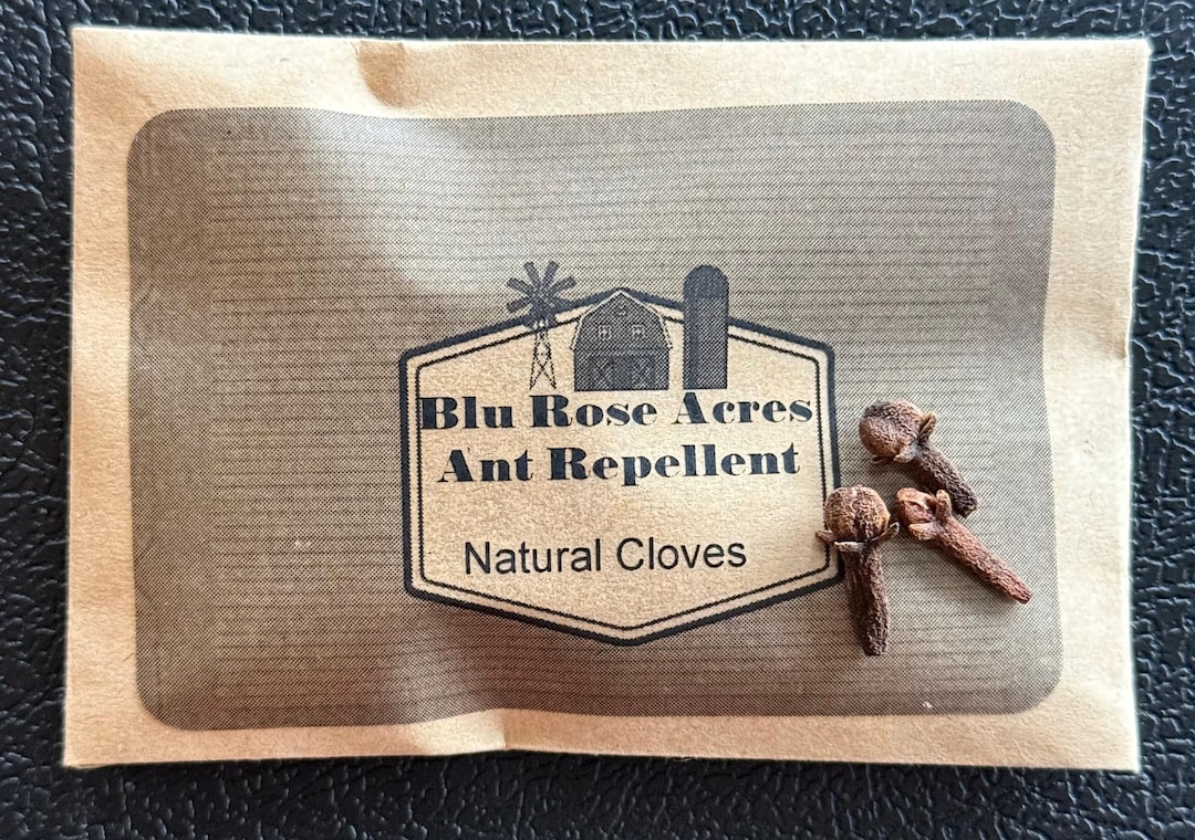 Ant Repellent Using Natural Cloves to Repel Ants Can Be a Smart and Eco ...