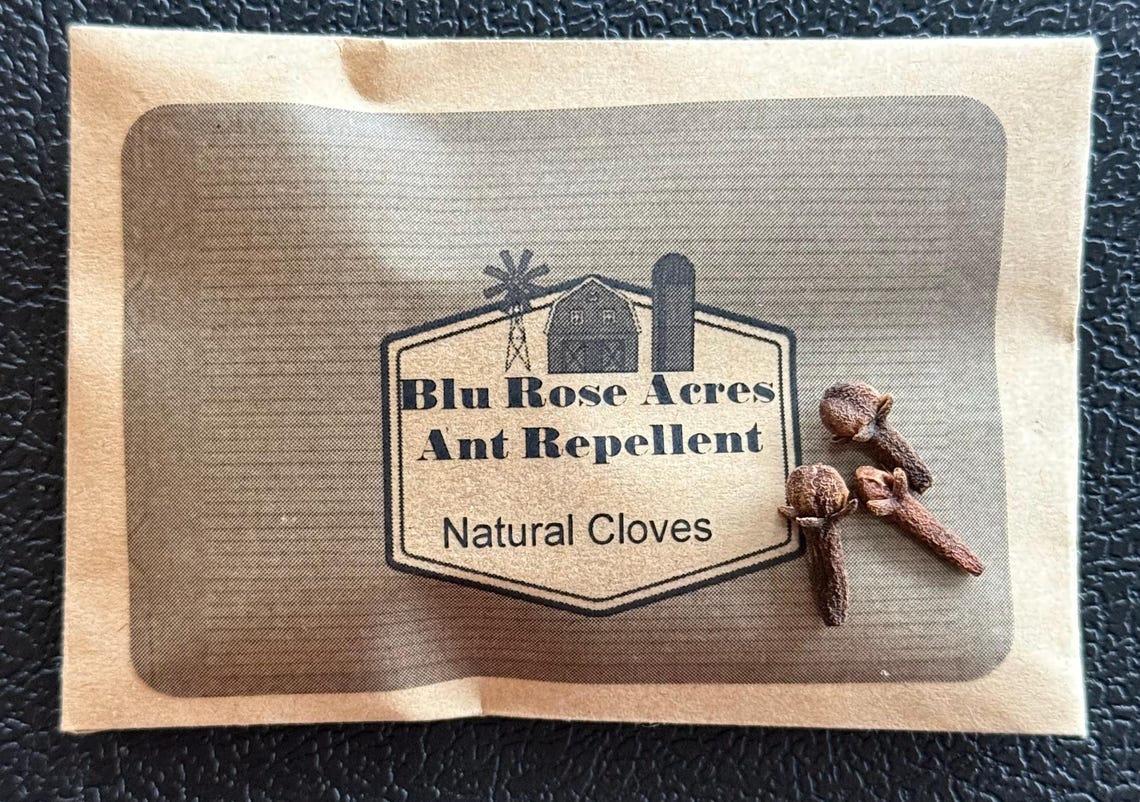 Ant Repellent Using Natural Cloves to Repel Ants Can Be a Smart and Eco ...