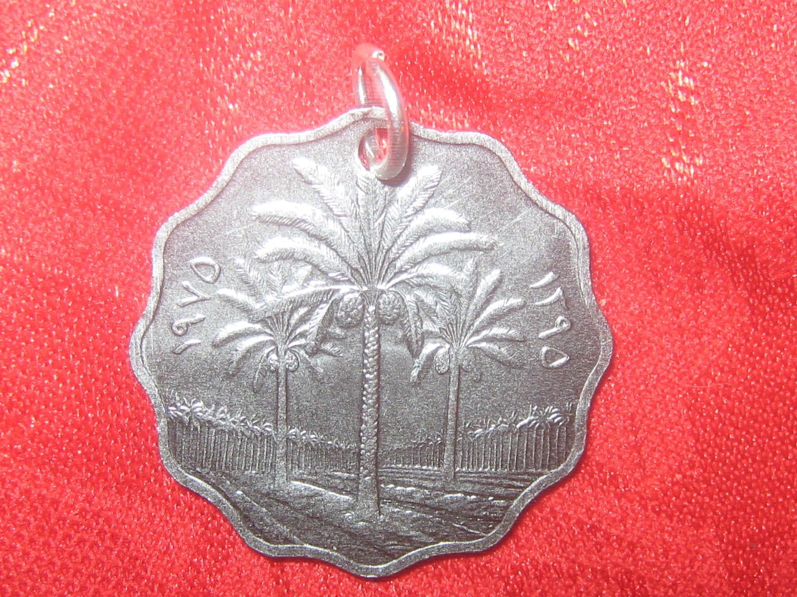 25MM Authentic IRAQ Iraqi Palm Trees Stainless Steel Coin Pendant ...