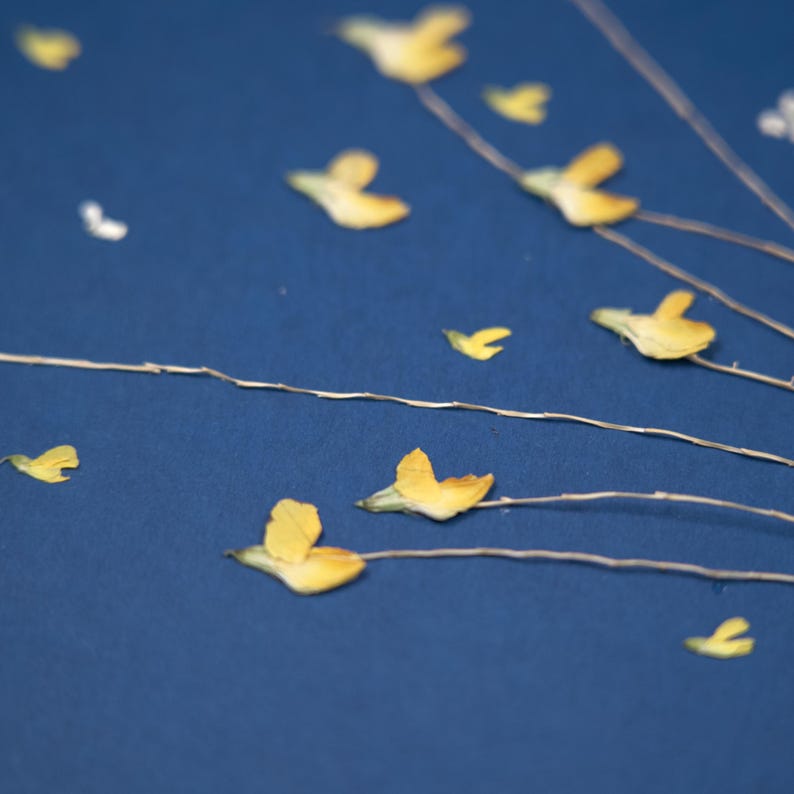 Pressed Flower Art the Little Prince Flying With Birds, Botanical Art ...