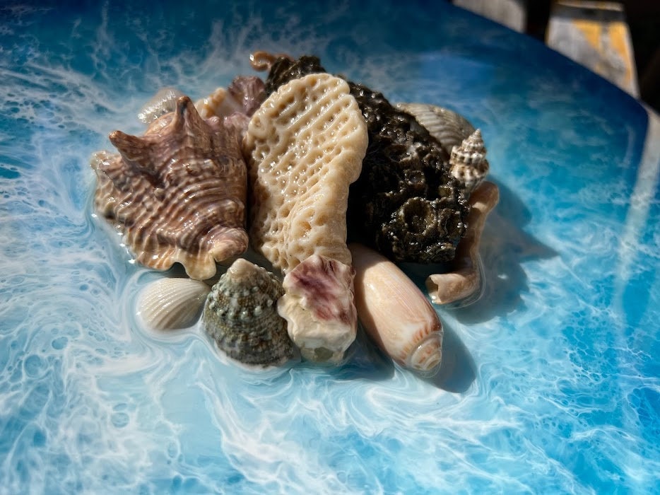 Resin Art Lazy Susan: Beach Scene With Coral & Shells - Etsy
