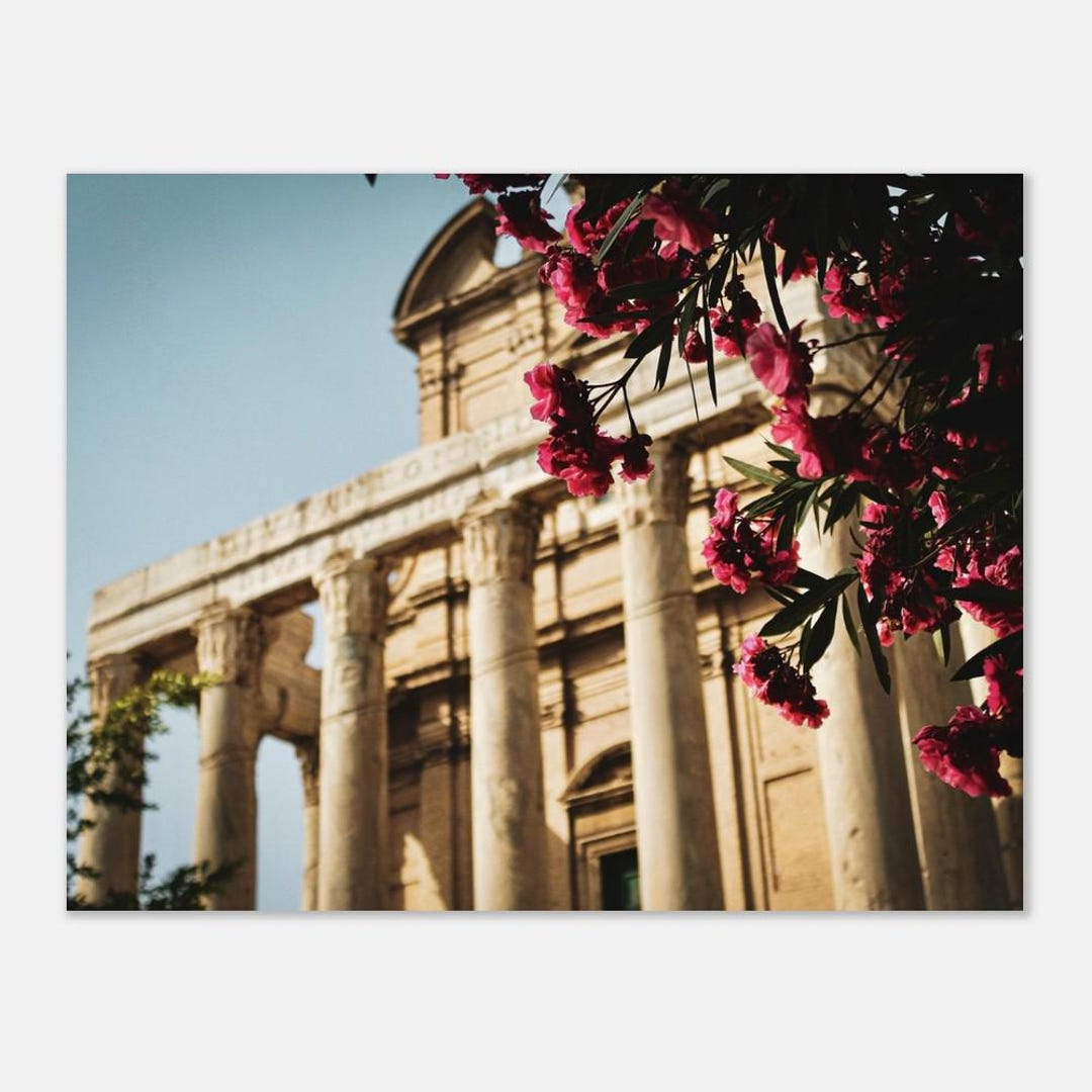 Roman Forum Poster | Rome, Italy Wall Art Decor | Premium Matte Paper ...