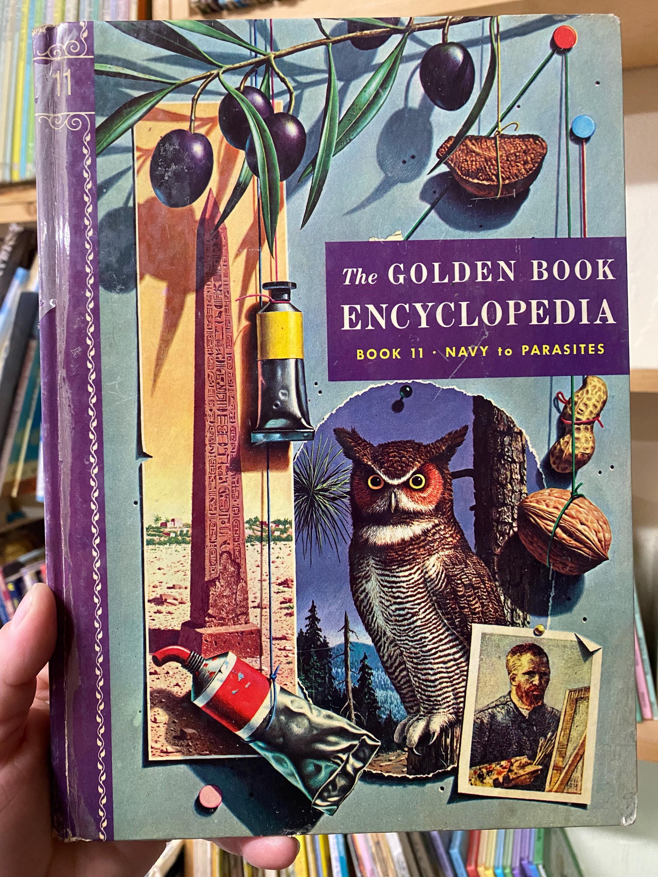 The Golden Book Encyclopedia | Vintage Children's Reference, 1960 - Etsy