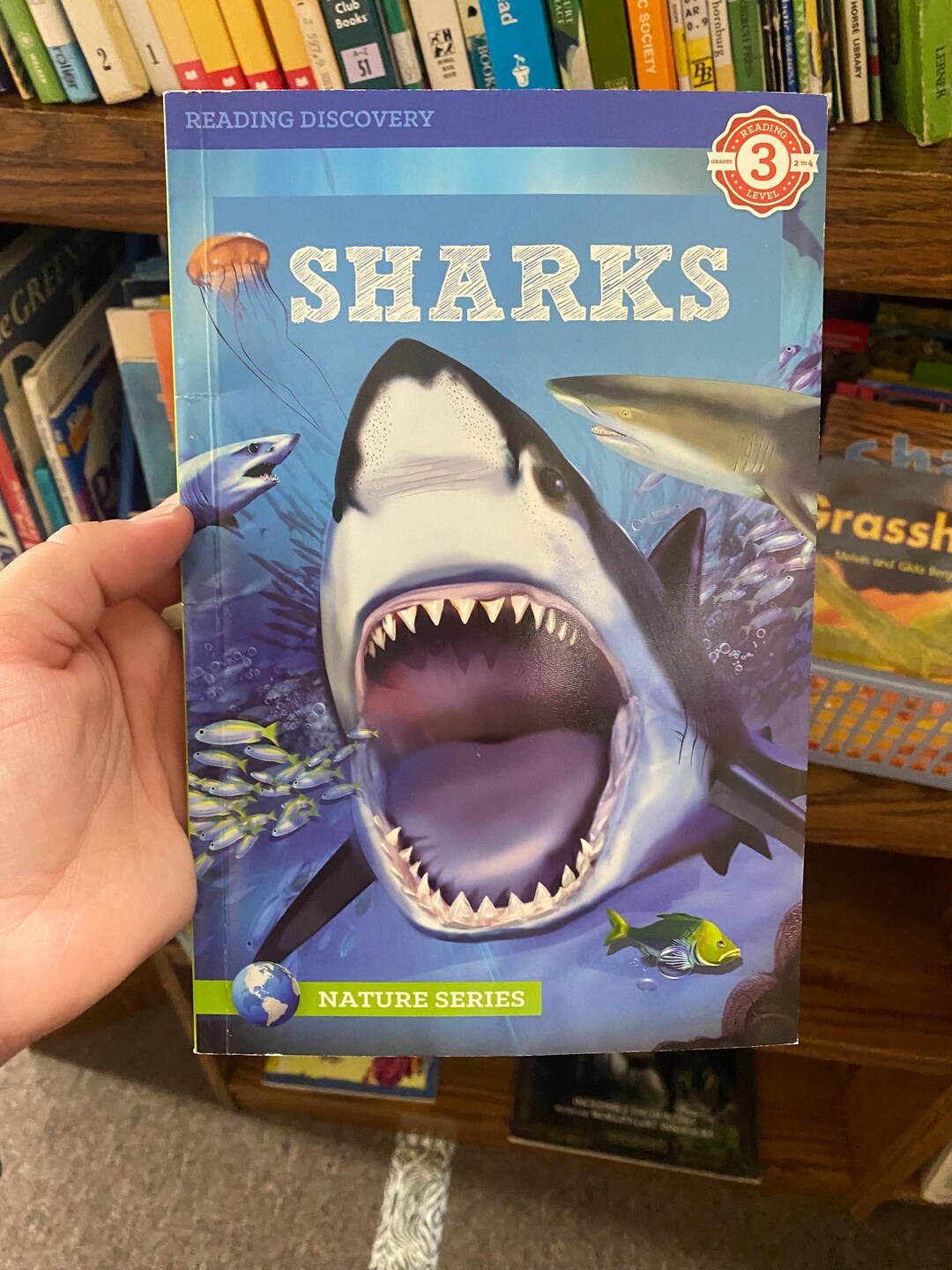 Zoology Book Bundle for Kids: Homeschool Science Curriculum - Etsy