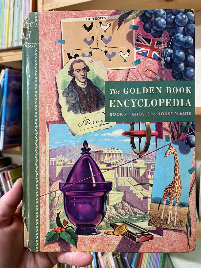 The Golden Book Encyclopedia | Vintage Children's Reference, 1960 - Etsy