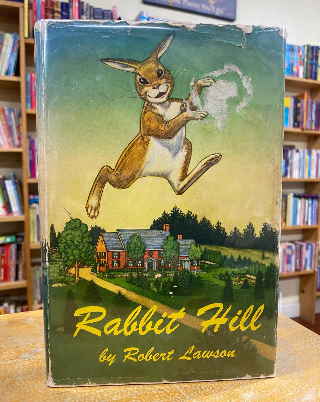 Rabbit Hill by Robert Lawson | 1966 Hardcover, 12th Edition - Etsy