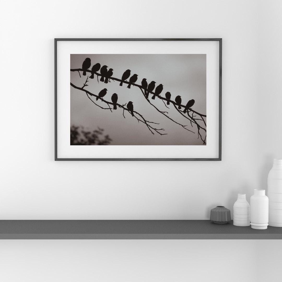 Perch Perfect - Wall Art, Office Hotel, Home Decor, Small Birds on ...