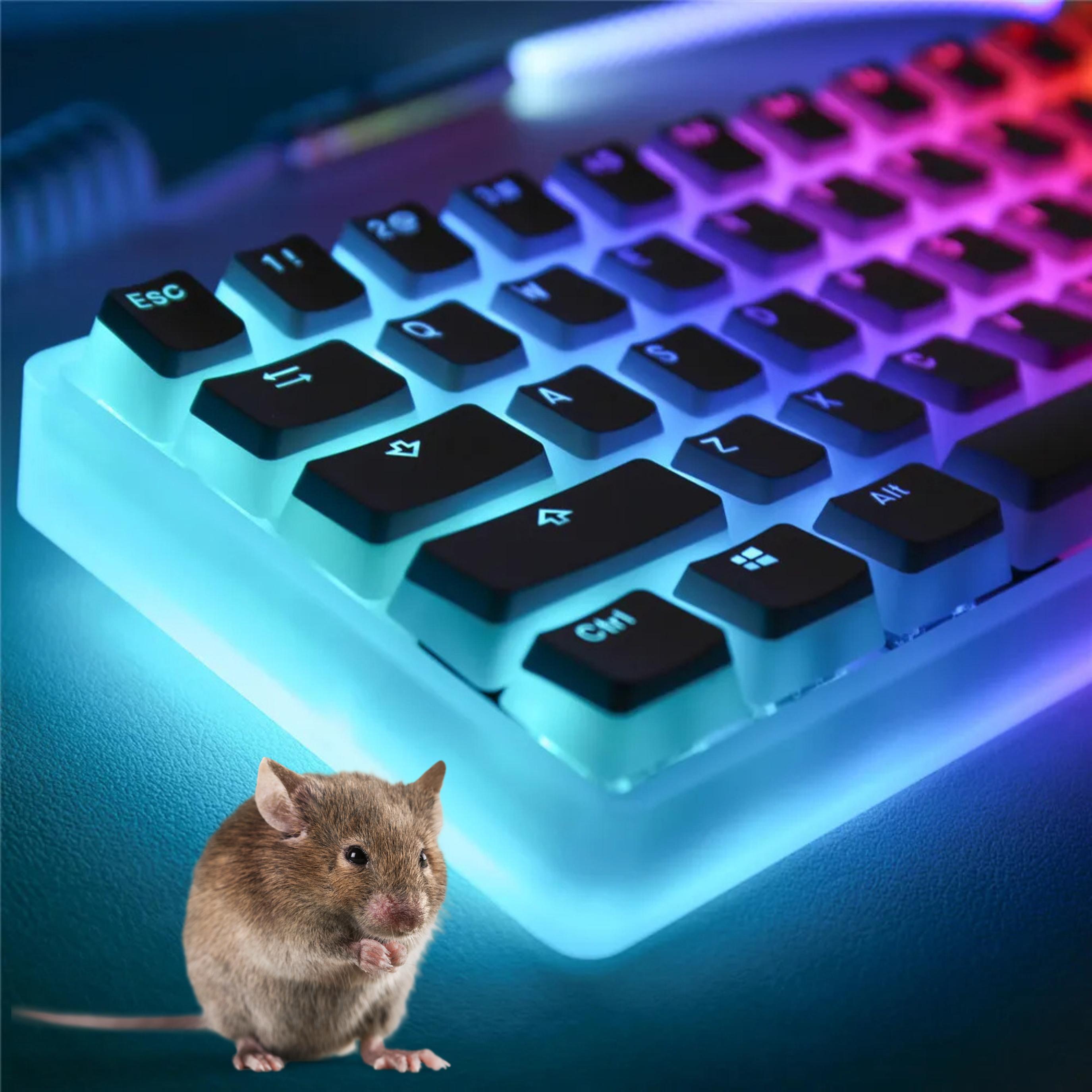 Custom Keycaps, Artisan Keycaps, Keycaps Set, Wasd Keycaps, 104 Keys ...