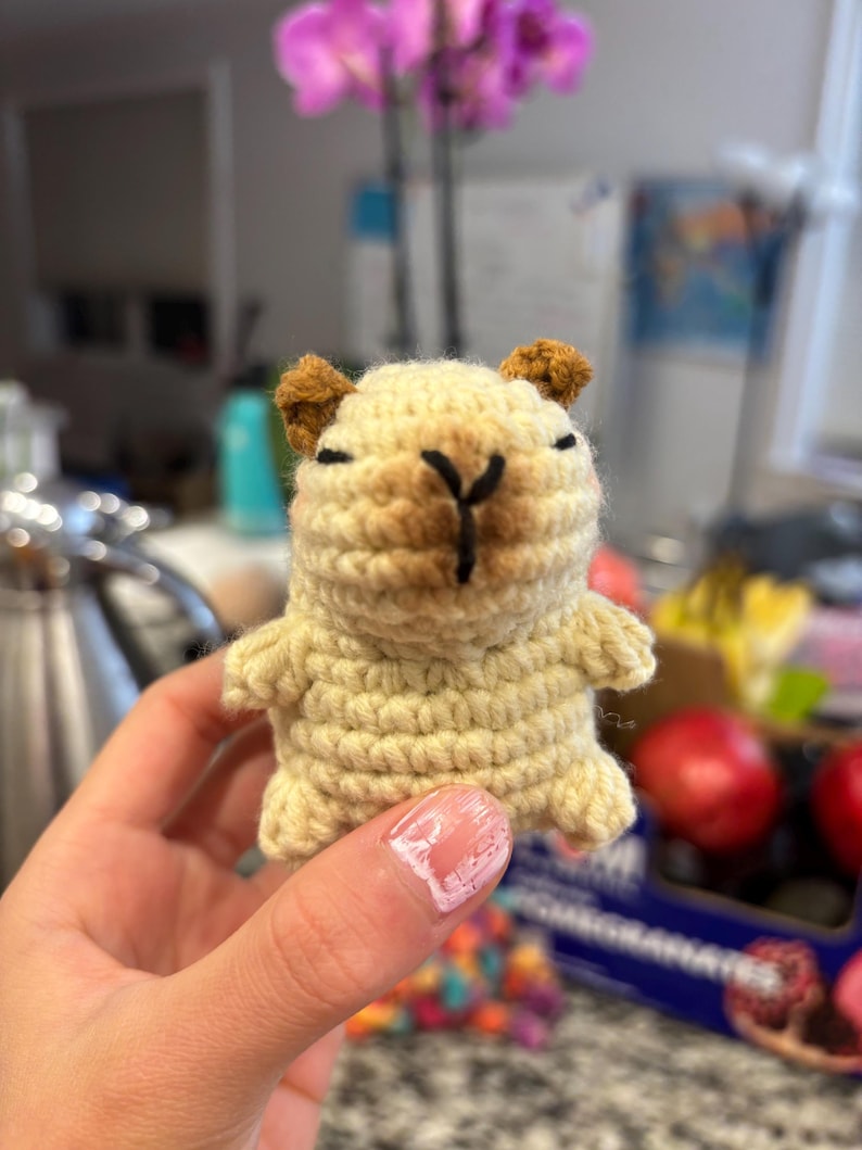 Crochet Amigurumi Capybara Wearing A Strawberry Hat PDF Pattern | Low ...