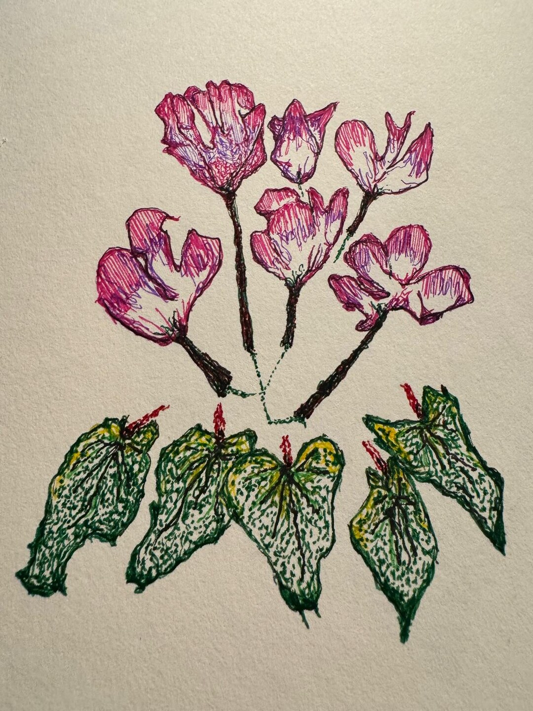 Pen and Ink Drawing of Flowers - Supplied Framed (A4, A5) - Etsy