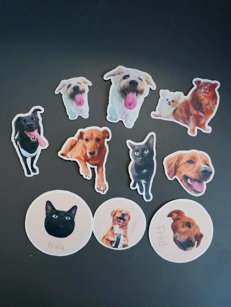Custom Pet Stickers, Postcards and Custom Party Supplies. Personalized ...
