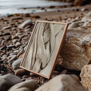 Neutral Coastal Wall Art Set of 3 Prints, Seashell, Driftwood, Starfish ...