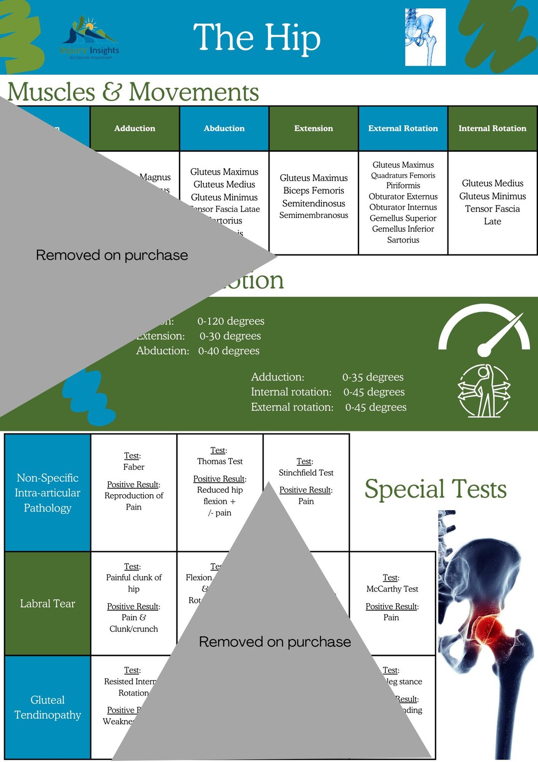 MSK Assessment Crib Sheet Bundle for Physiotherapists. 20% Off- 5 Crib ...