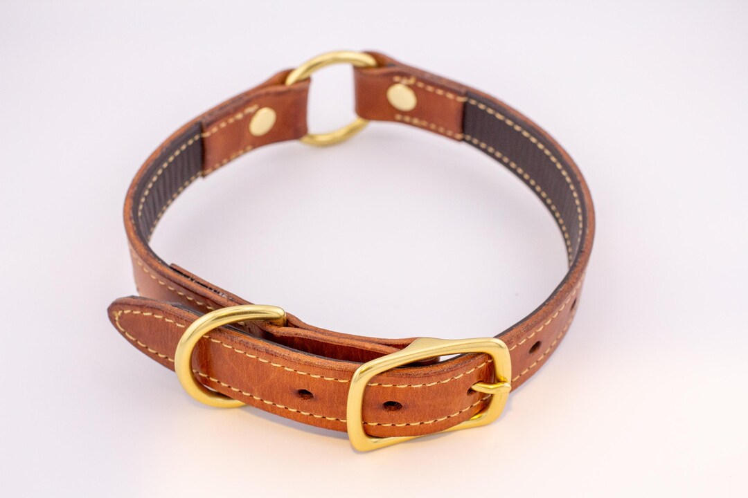 Handmade Leather Lined O-ring Safety Hunting Dog Collar - Etsy