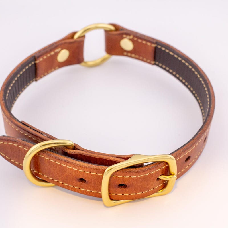 Hunting Dog Collars - Etsy
