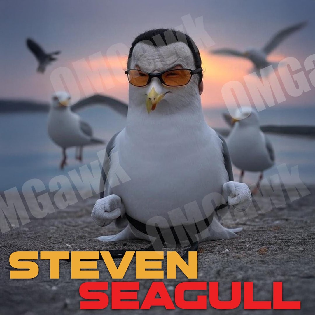 Steven Seagull Digital Print - Etsy