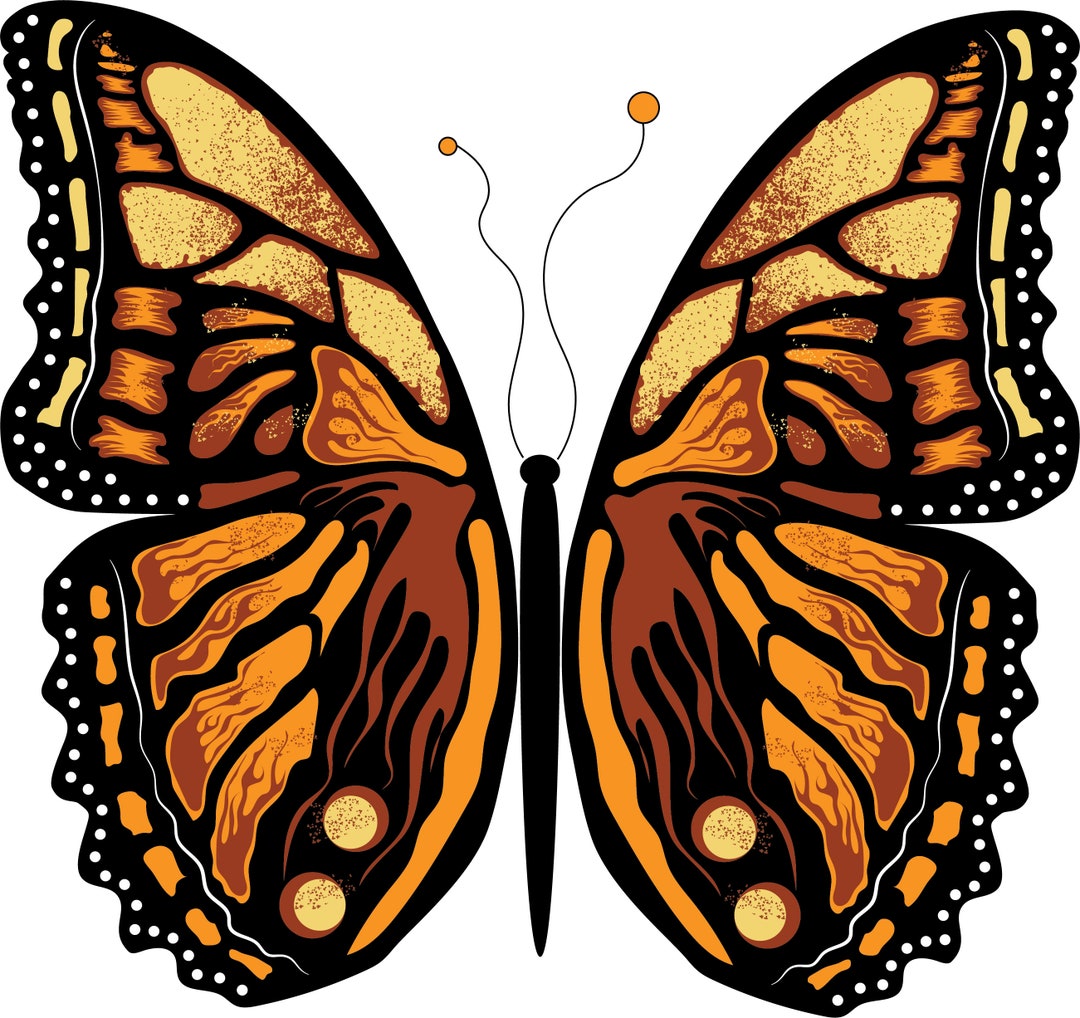 Butterfly Illustration - Etsy