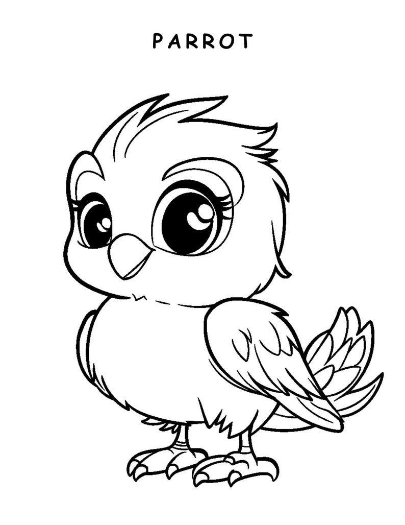 Birds Coloring Pages for Kids – 20 Fun Bird Designs With Names ...