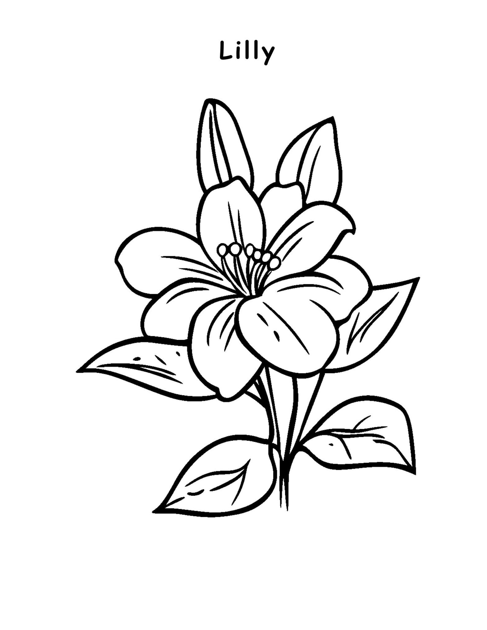 Flower Coloring Pages for Kids – 20 Fun Designs With Names | Digital ...