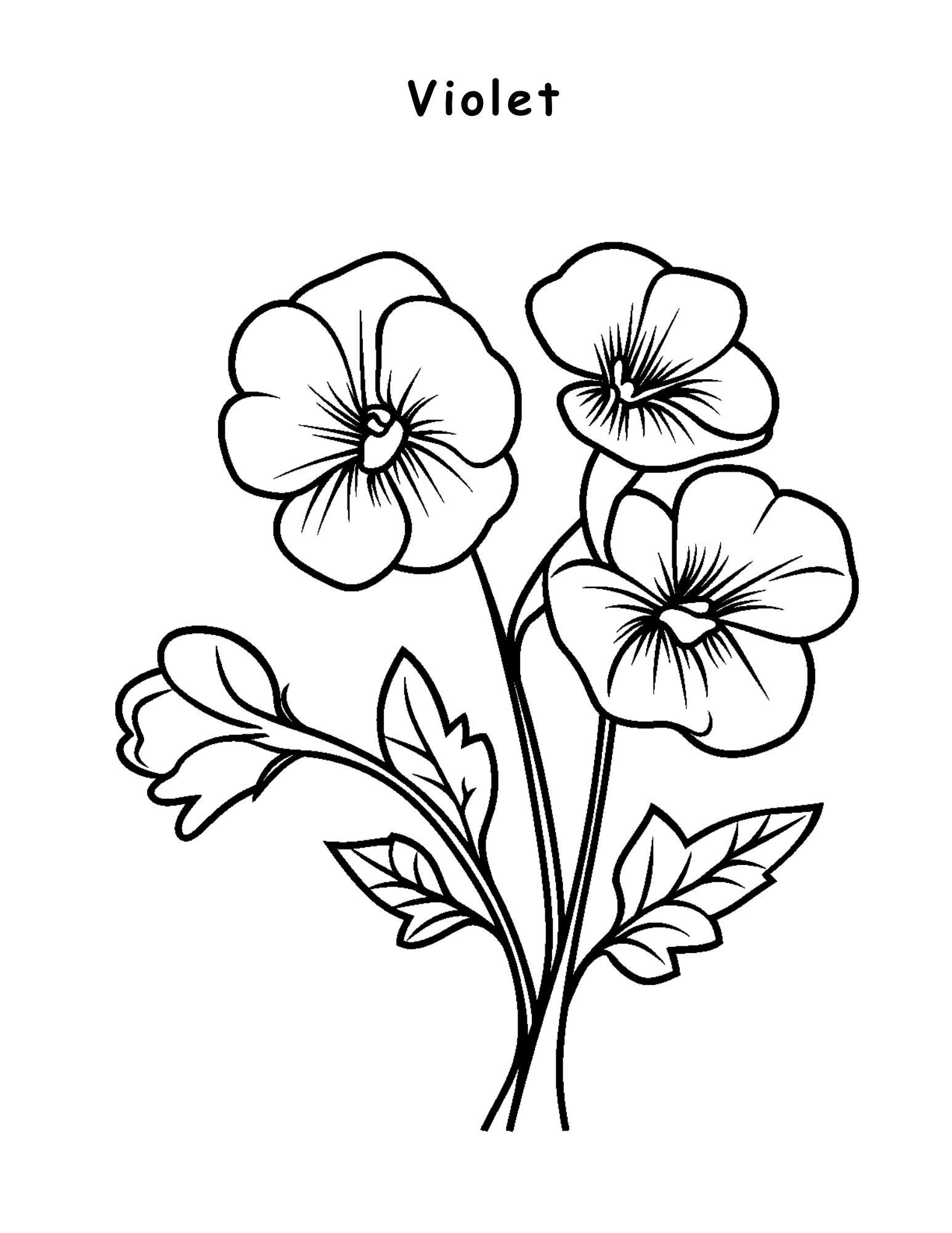 Flower Coloring Pages for Kids – 20 Fun Designs With Names | Digital ...