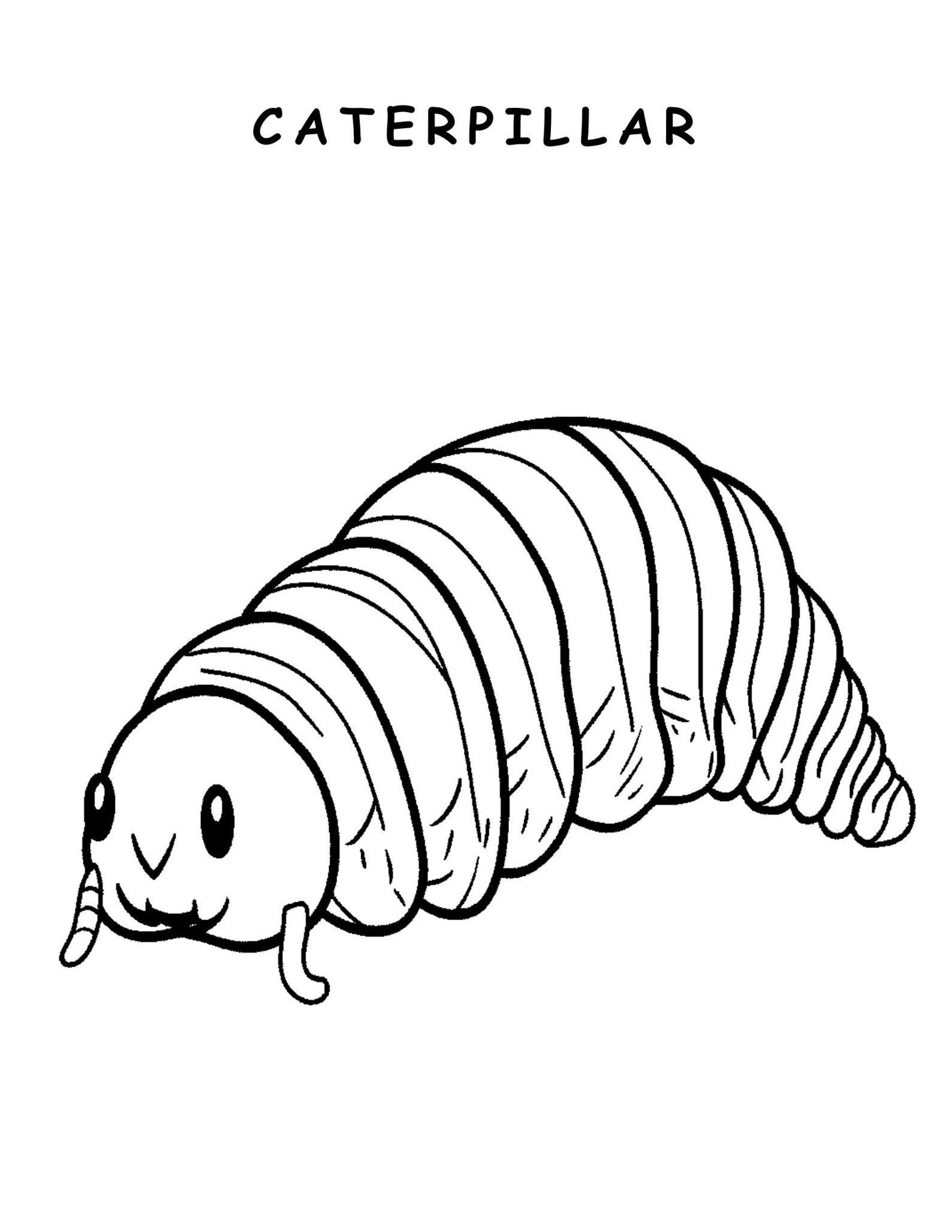 Insect Coloring Pages for Kids – 20 Fun Bug Designs With Names ...