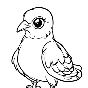 Birds Coloring Pages for Kids – 20 Fun Bird Designs With Names ...