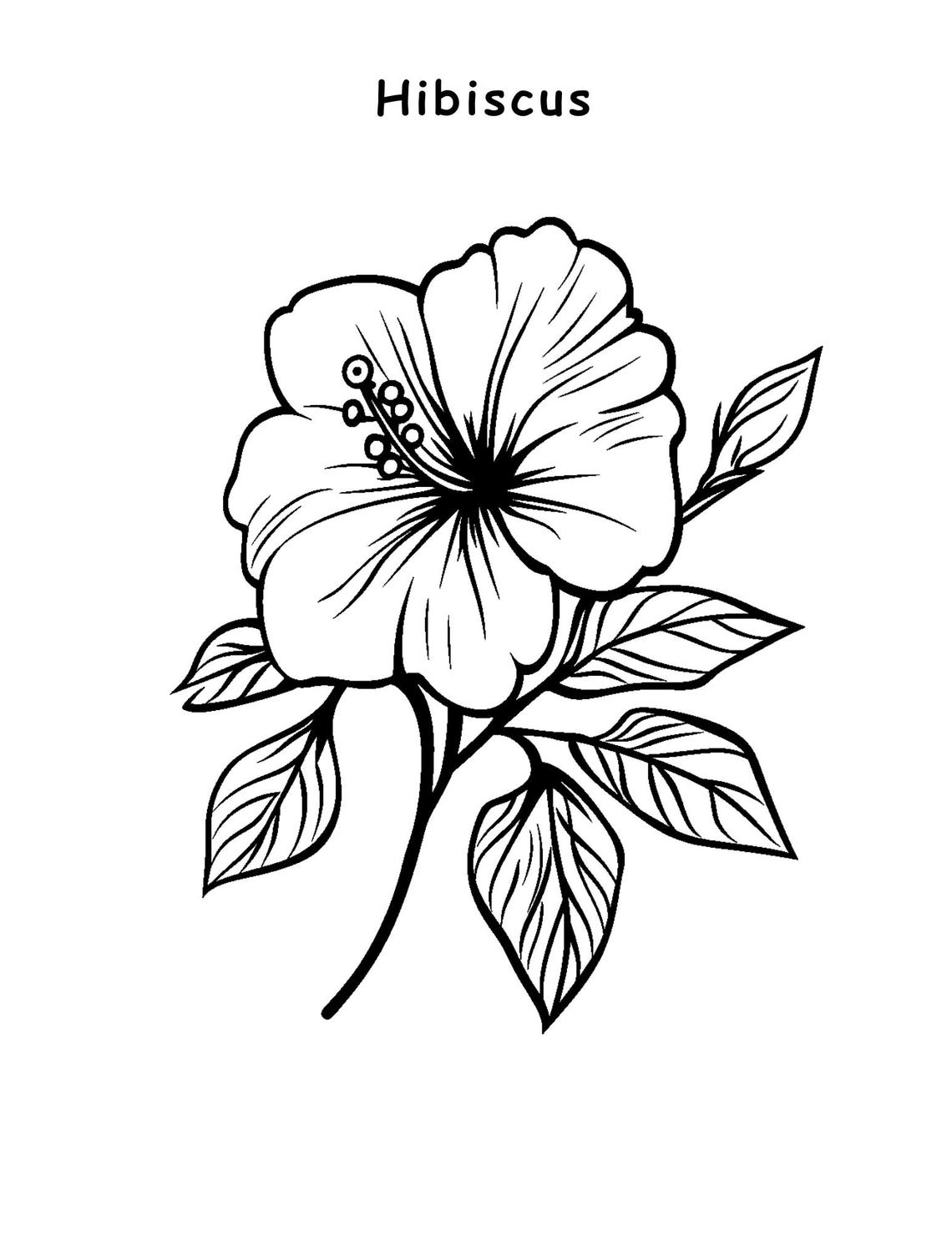 Flower Coloring Pages for Kids – 20 Fun Designs With Names | Digital ...