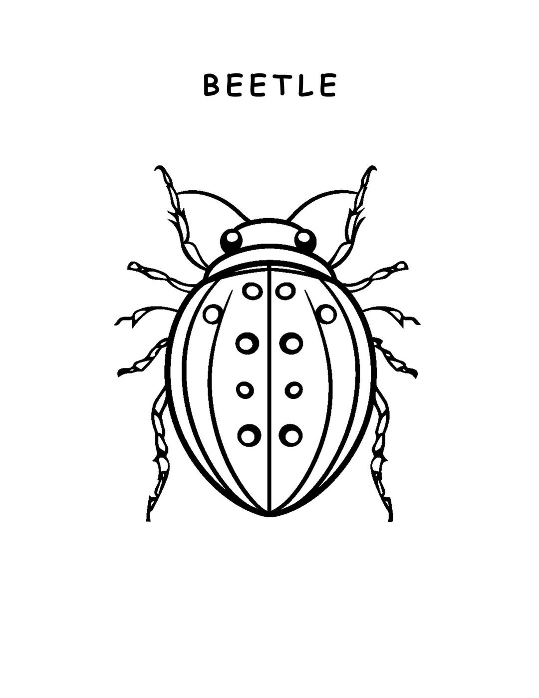 Insect Coloring Pages for Kids – 20 Fun Bug Designs With Names ...