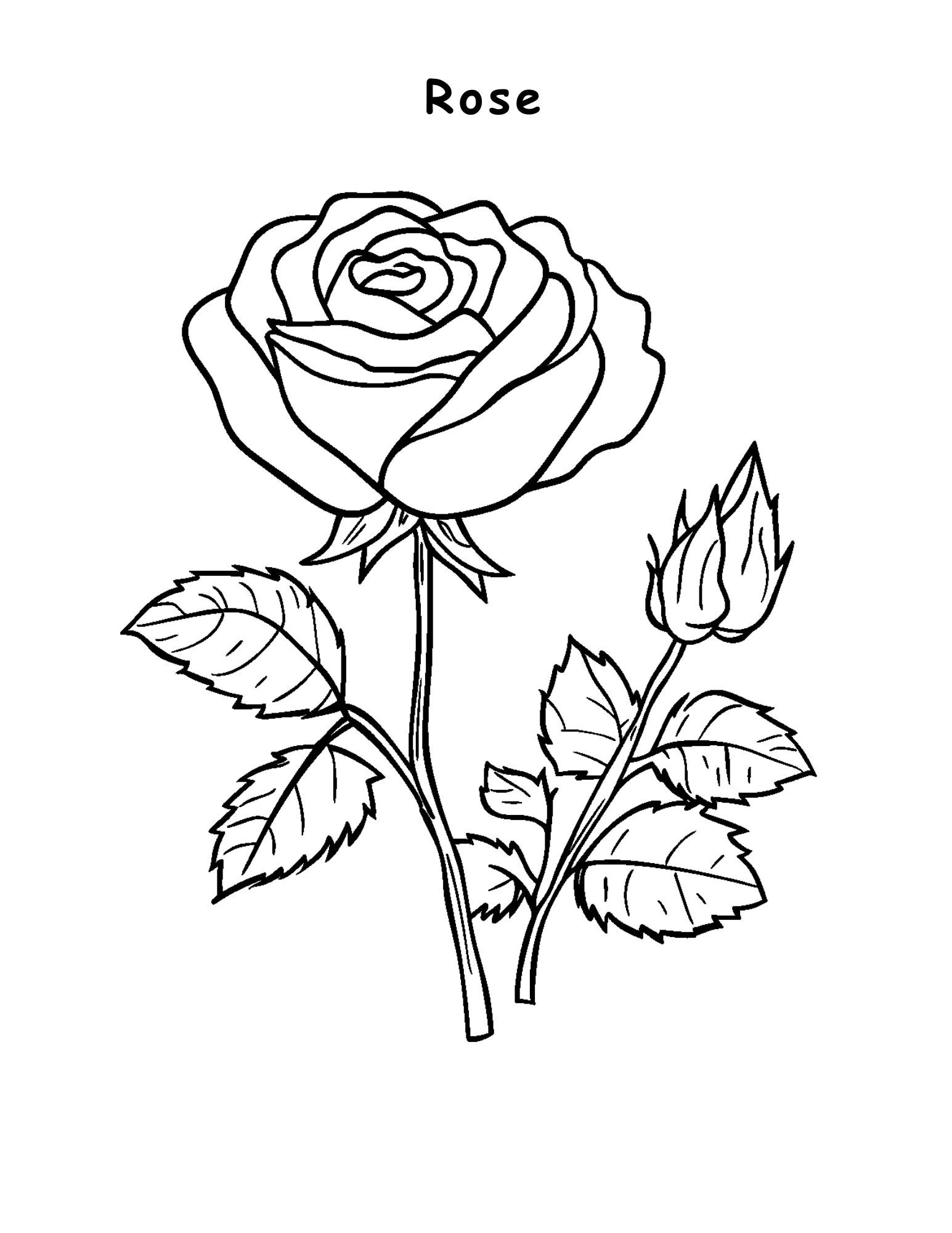 Flower Coloring Pages for Kids – 20 Fun Designs With Names | Digital ...