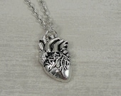 Human Heart Necklace Silver Realistic Human Heart Charm on a - Etsy