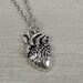 Human Heart Necklace, Silver Realistic Human Heart Charm on a Silver ...
