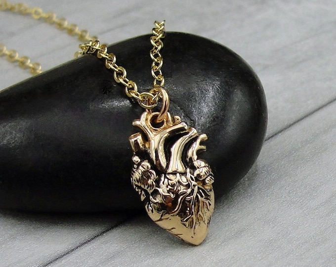 Anatomical Heart Necklace, Gold Anatomical Heart Charm Necklace ...
