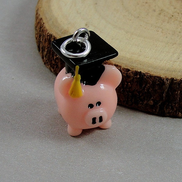 Pig Gift - Etsy