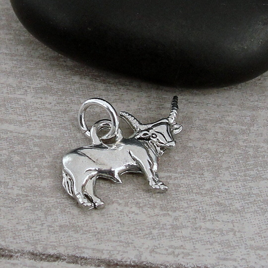 Silver Longhorn Bull Charm, Longhorn Bull Necklace Charm, Cattle Charm ...