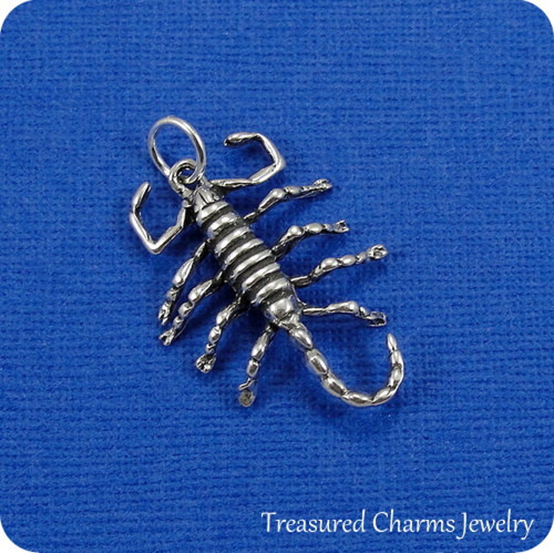 Scorpion Charm - Sterling Silver Scorpion Charm for Necklace or ...