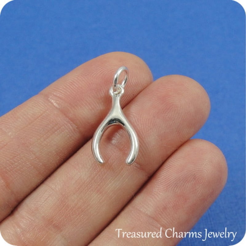 Wishbone Necklace - Etsy