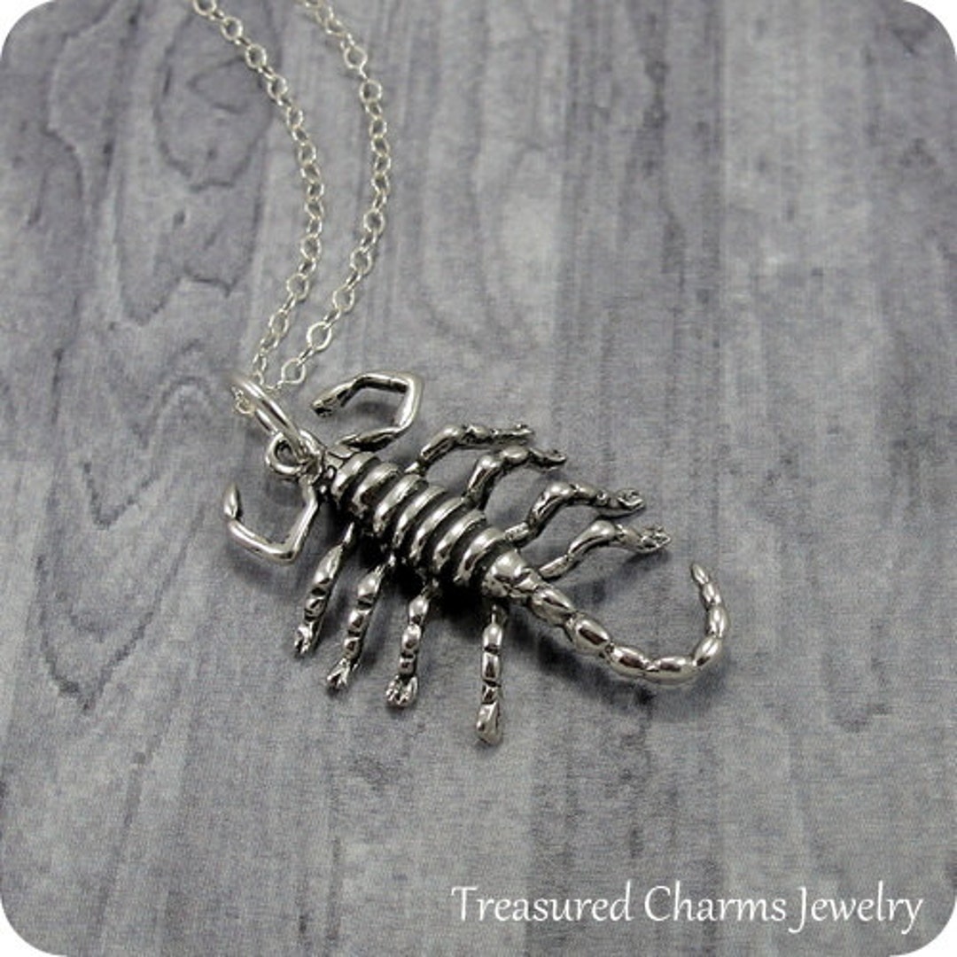 Scorpion Necklace, Sterling Silver Scorpion Charm on a Silver Cable ...