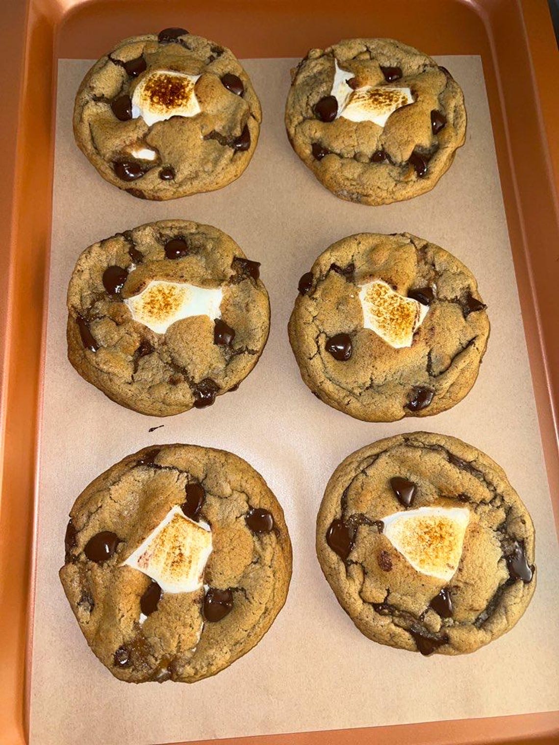 HALF DOZEN Vegan S’mores Treats – A Plant-based Twist on a Classic. 6 ...