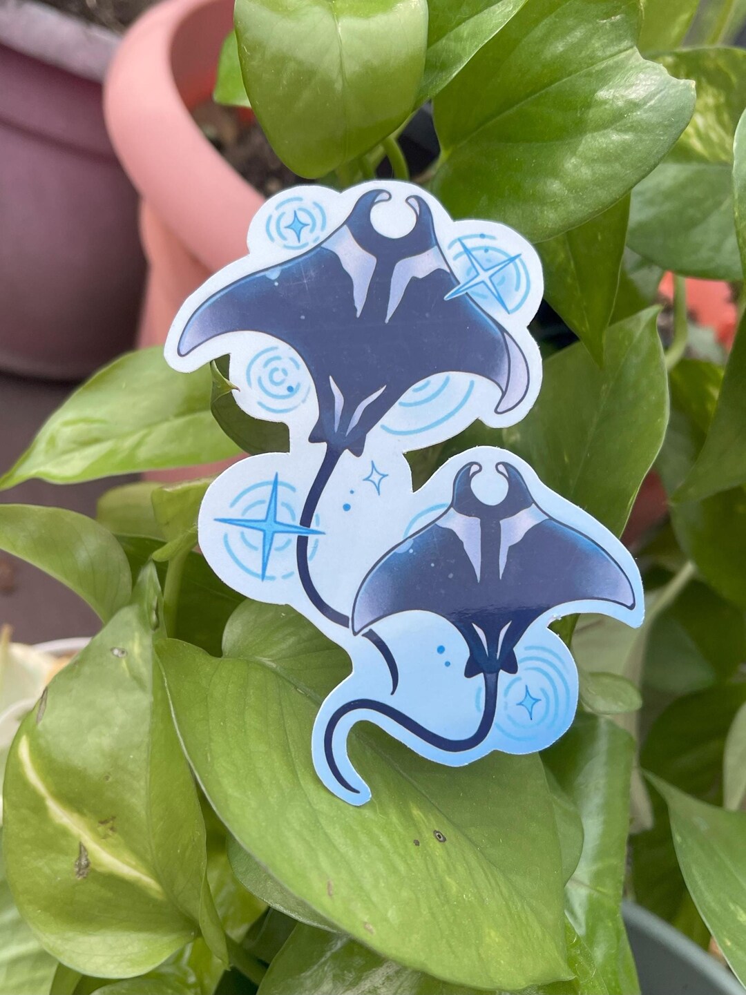 Manta Rays Sticker - Etsy
