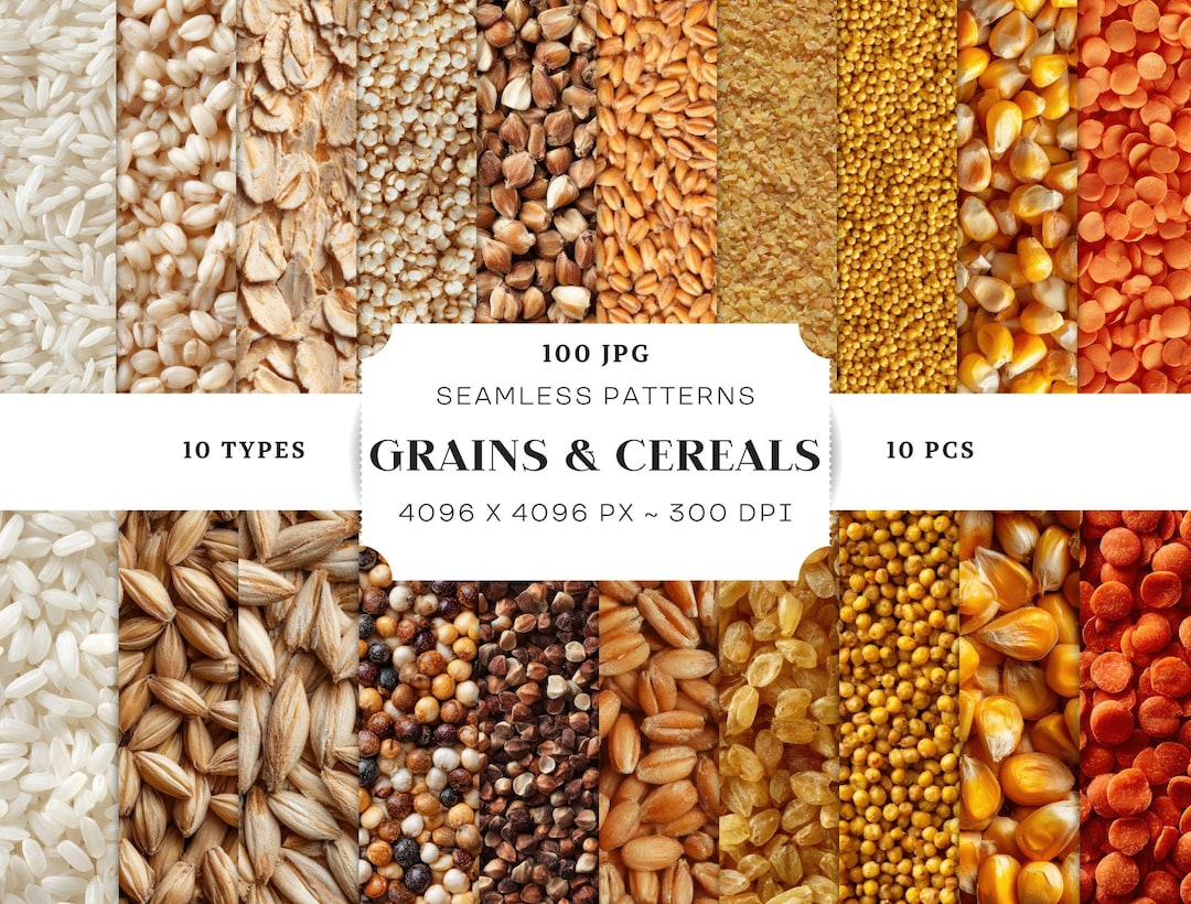 Grains & Cereals Seamless Patterns, 100 JPG, Wheat, Rice, Oats, Corn ...