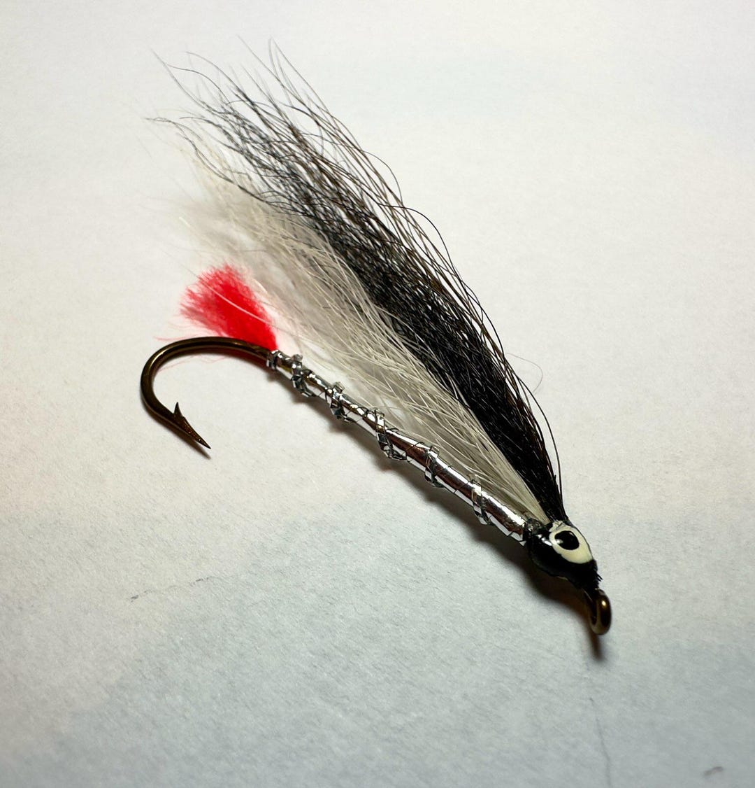 Black Nosed Dace - Etsy