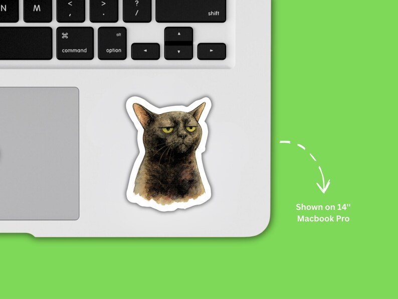Famous Zoning Out Funny Cat Kiss-cut Sticker, Popular Tiktok Cat Zoning ...