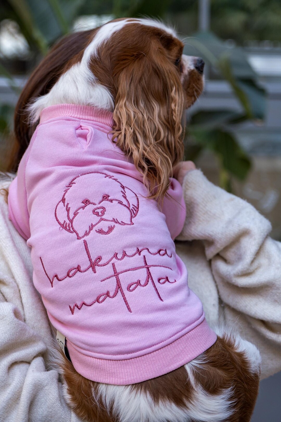 Hakuna Matata Pink Dog Sweatshirt - Etsy