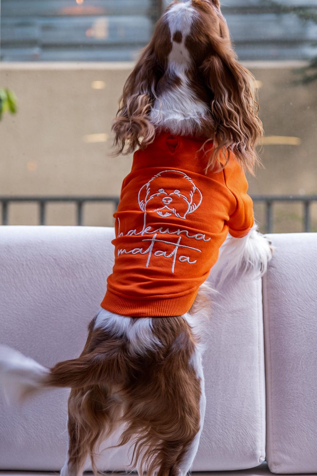 Hakuna Matata Dog Sweatshirt - Etsy